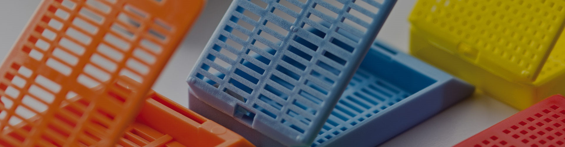 Processing and Embedding – Diapath