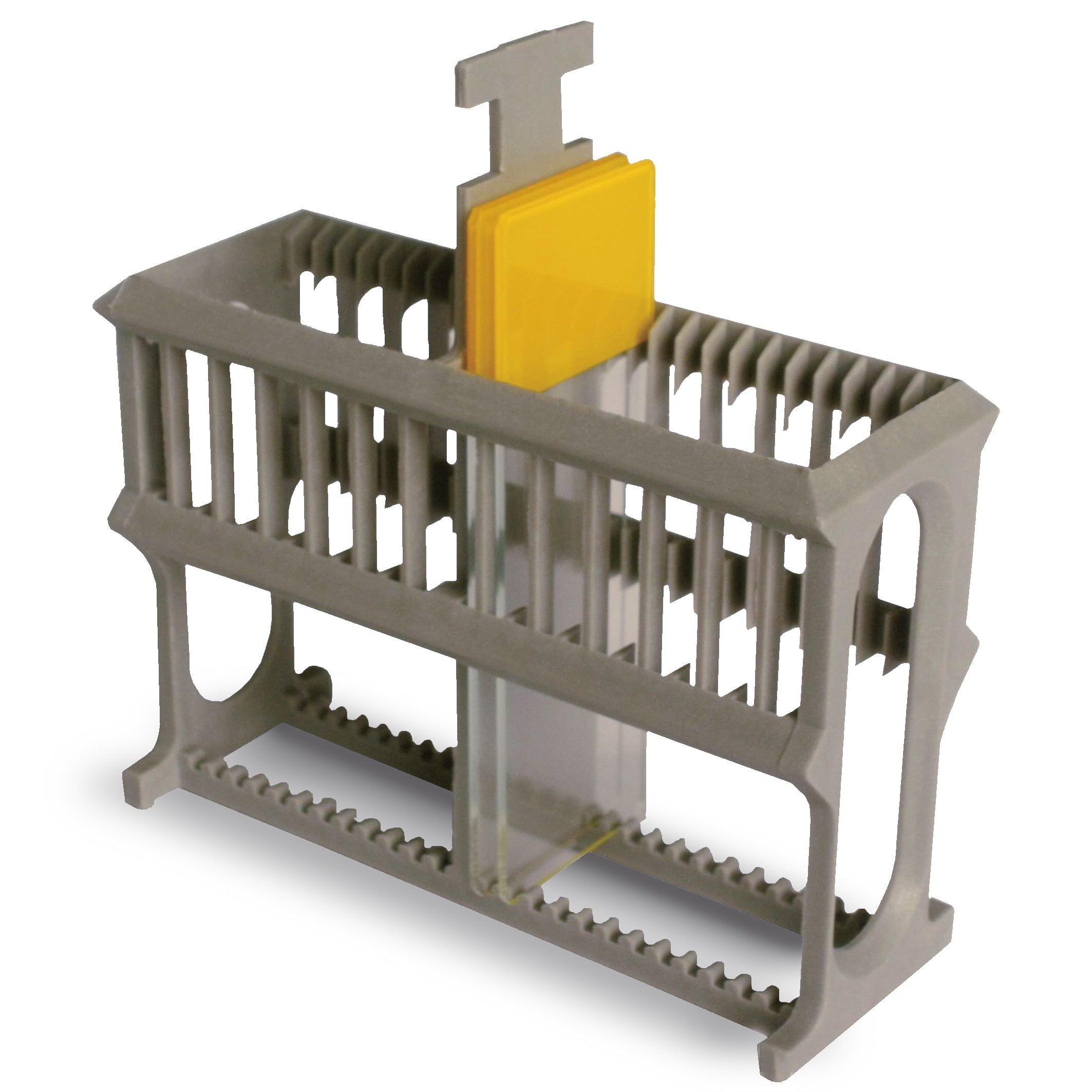 Rack for 24 slides – Diapath